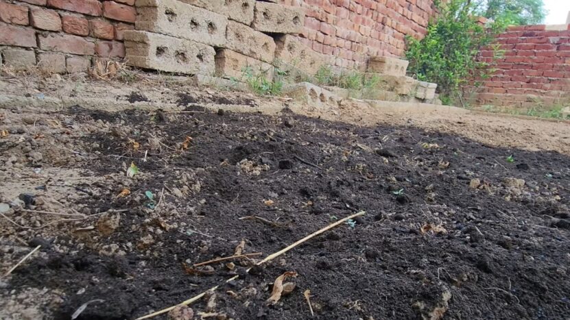 14 Eco-Friendly Products Made from Coconut Husk - Green Terra Firma